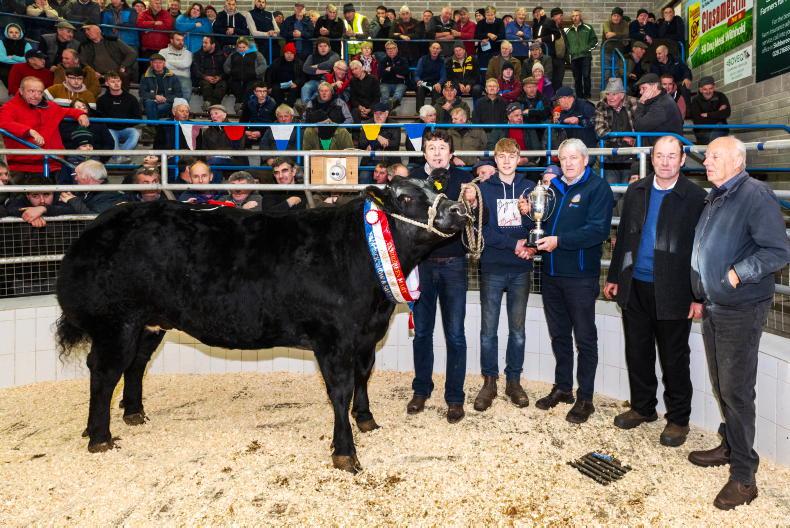 Camera at the Mart: sizzling prices at Skibbereen show and sale - Free