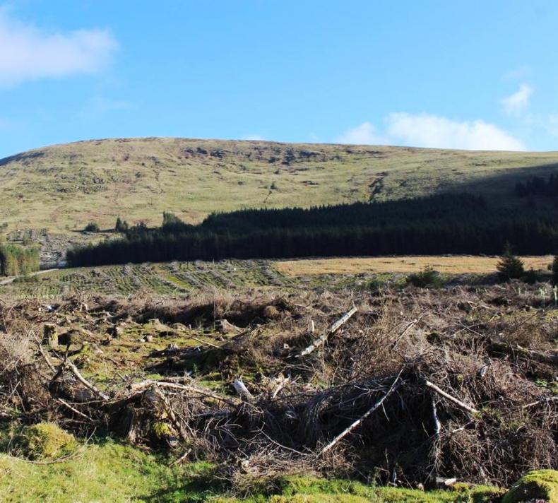 The folly of windrowing brash - Free