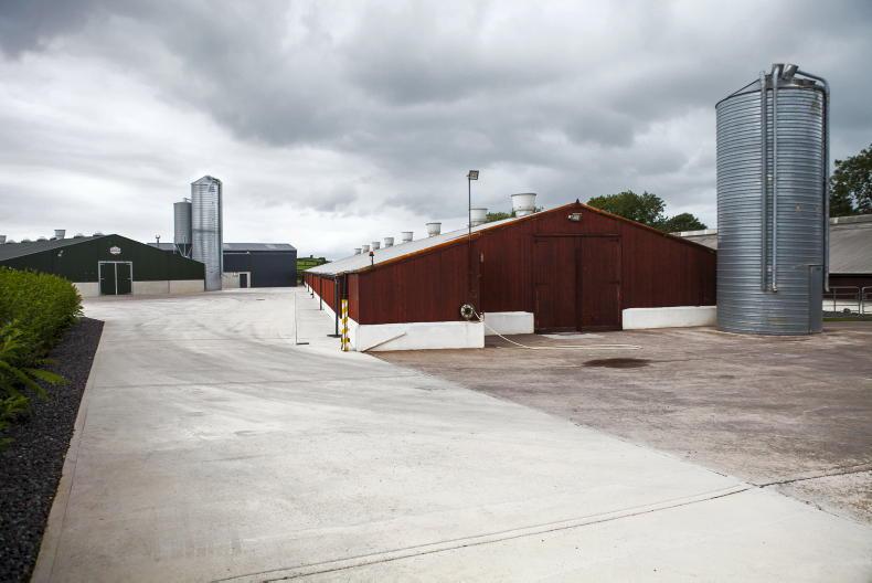 Irish Farmers Journal – For the Latest Farming News in Ireland