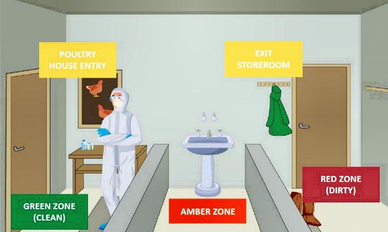 Irish Farmers Journal – For the Latest Farming News in Ireland