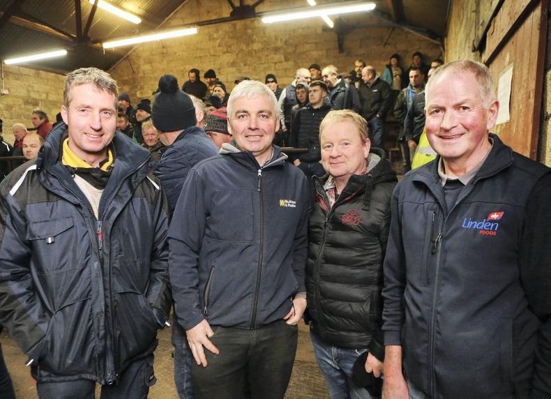 Around Northern Ireland in pictures - Free