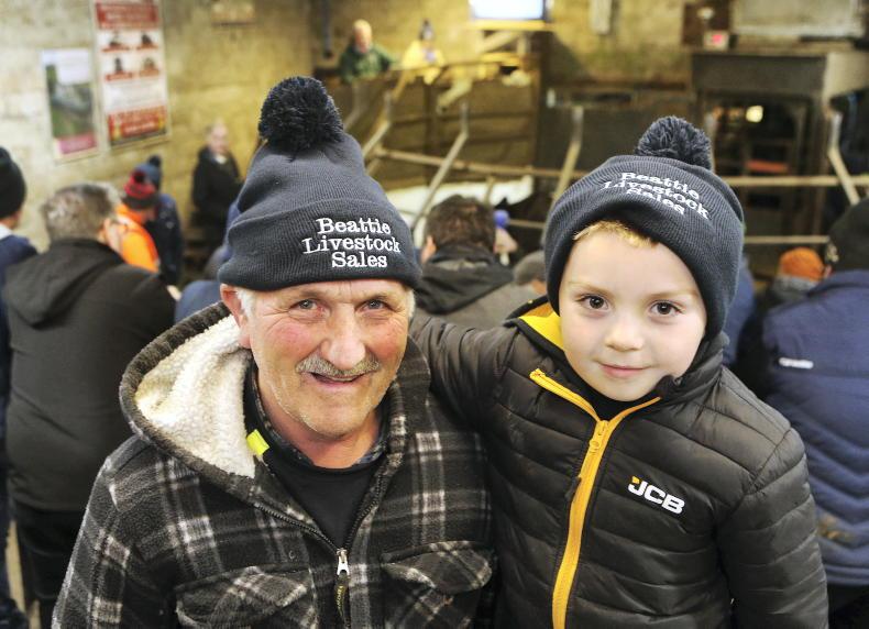 Around Northern Ireland in pictures - Free