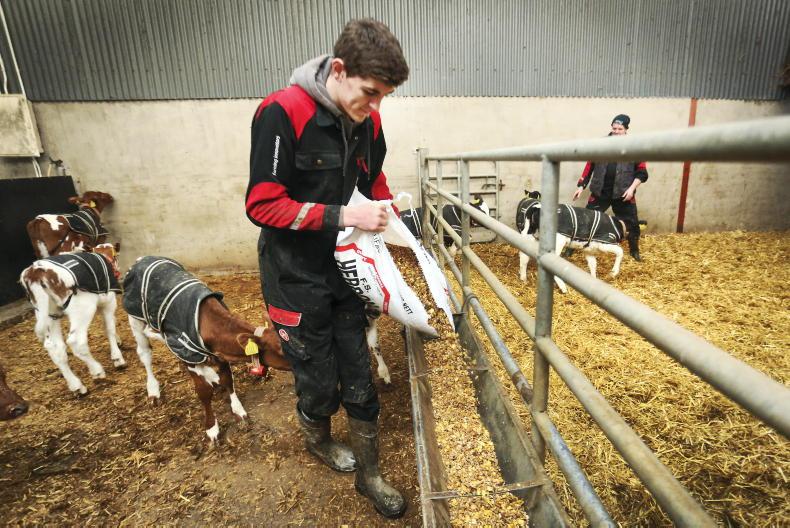 Around Northern Ireland in pictures - Free