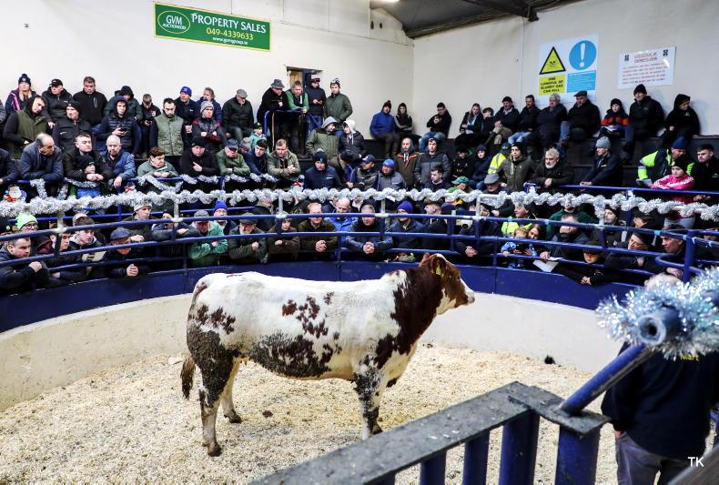 This week in photos: dairy cows, marts and sheep - Free