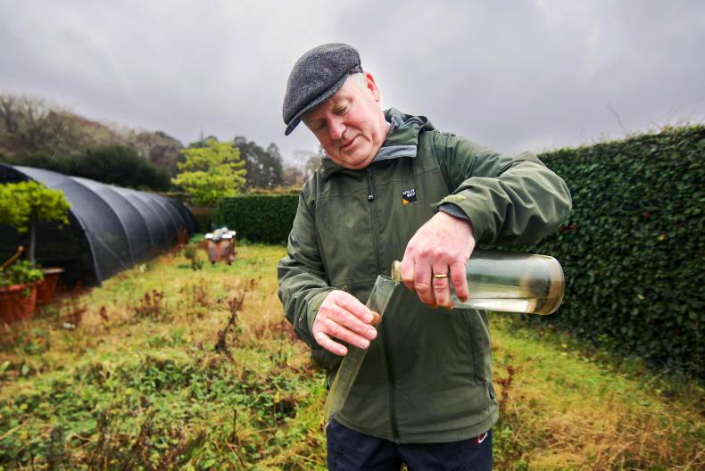 This week in photos: dairy cows, marts and sheep - Free