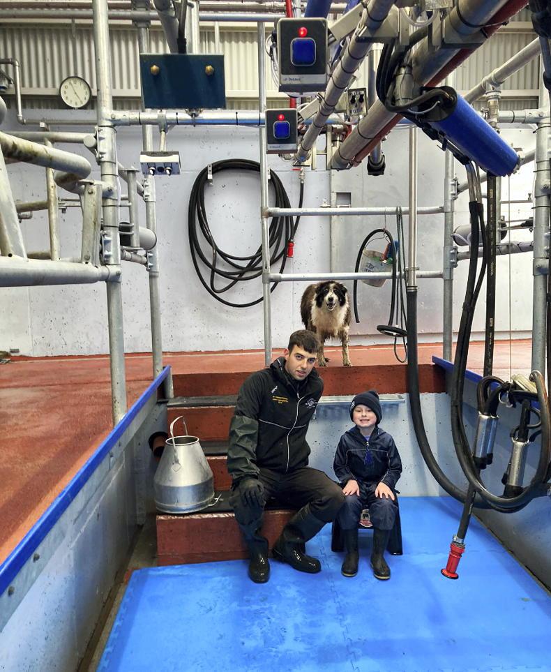 In pictures: our favourite reader photos of the week - Free