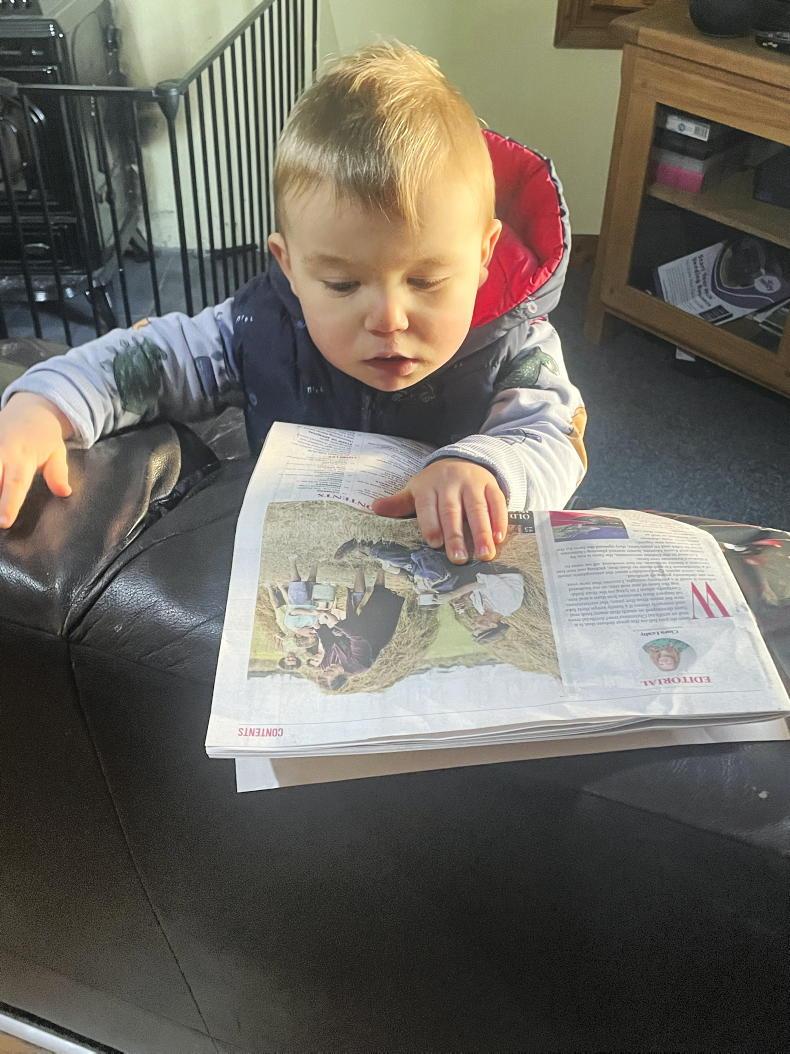 In pictures: our favourite reader photos of the week - Free