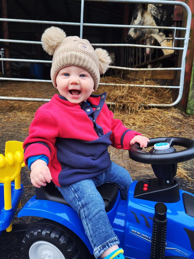 In pictures: our favourite reader photos of the week - Free