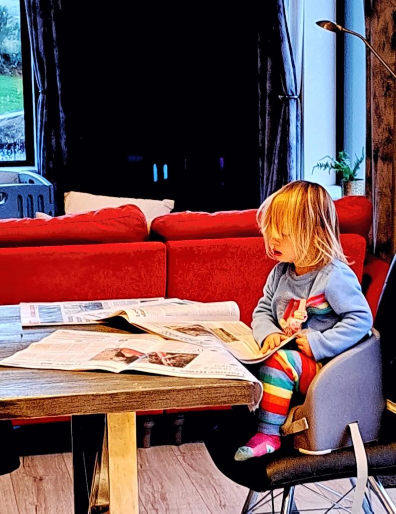 In pictures: our favourite reader photos of the week - Free