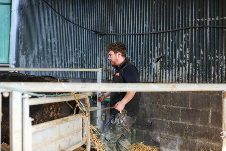 Irish Farmers Journal – For the Latest Farming News in Ireland
