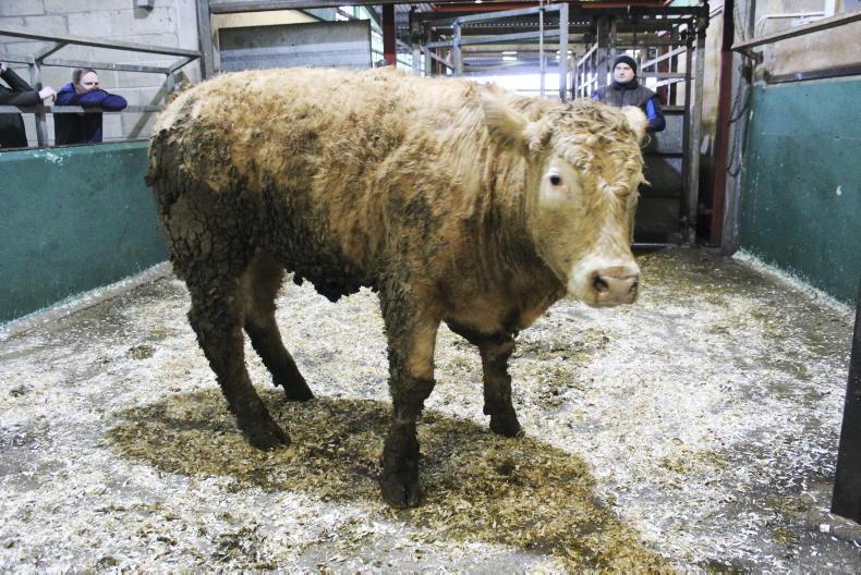 In pictures: Flying trade for stores in Omagh Mart - Free