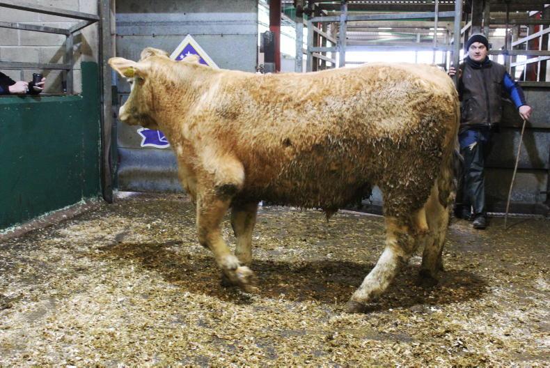 In pictures: Flying trade for stores in Omagh Mart - Free