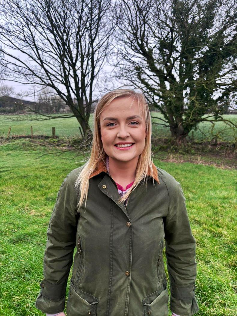 Stock bulls losing out to DIY AI - Free