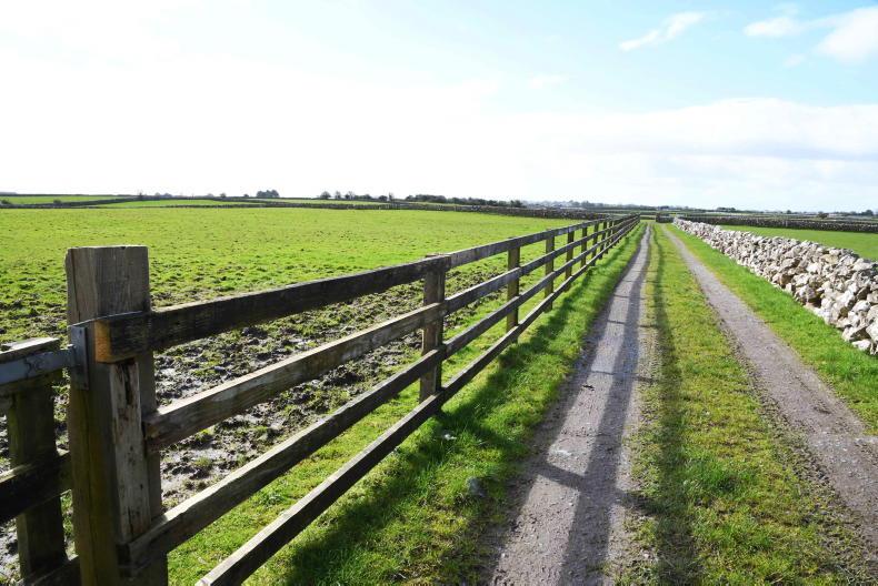 Irish Farmers Journal – For the Latest Farming News in Ireland