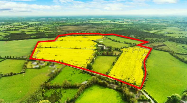 115ac and quiet living in the heart of Co Kildare - Free