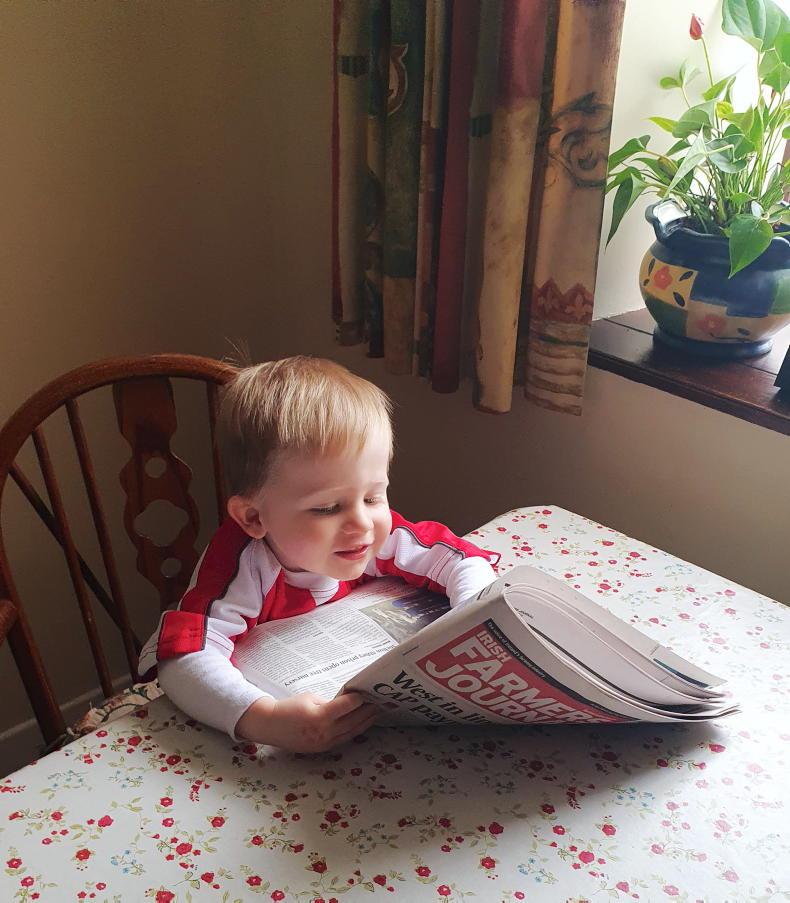 In pictures: our favourite reader photos of the week - Free