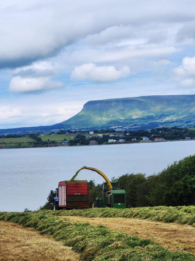In pictures: our favourite readers' photos of the week - Free