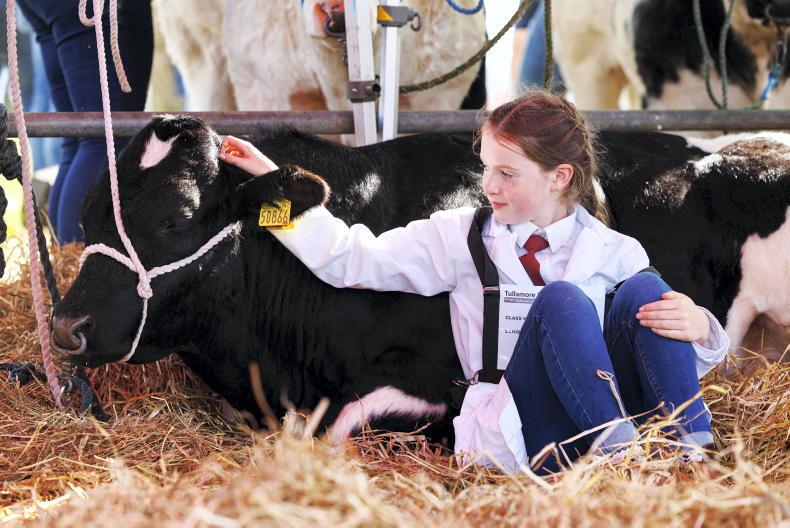 In pictures: thousands throng to Tullamore Show - Free
