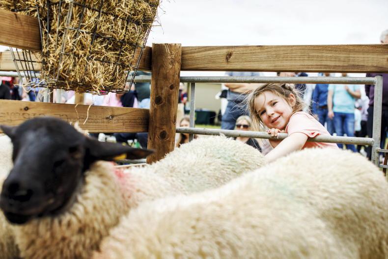 In pictures: thousands throng to Tullamore Show - Free