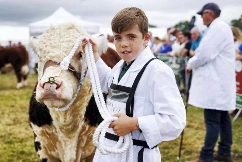 In pictures: thousands throng to Tullamore Show - Free
