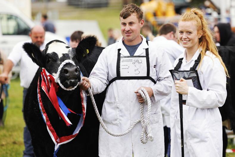 In pictures: thousands throng to Tullamore Show - Free