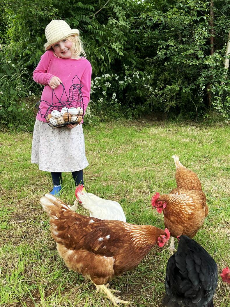 In pictures: our favourite readers' photos of the week - Free