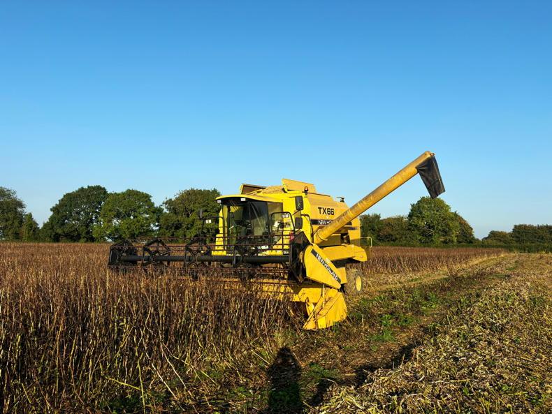 Irish Harvest Crops Growtrade | Ireland's Online Source For Latest
