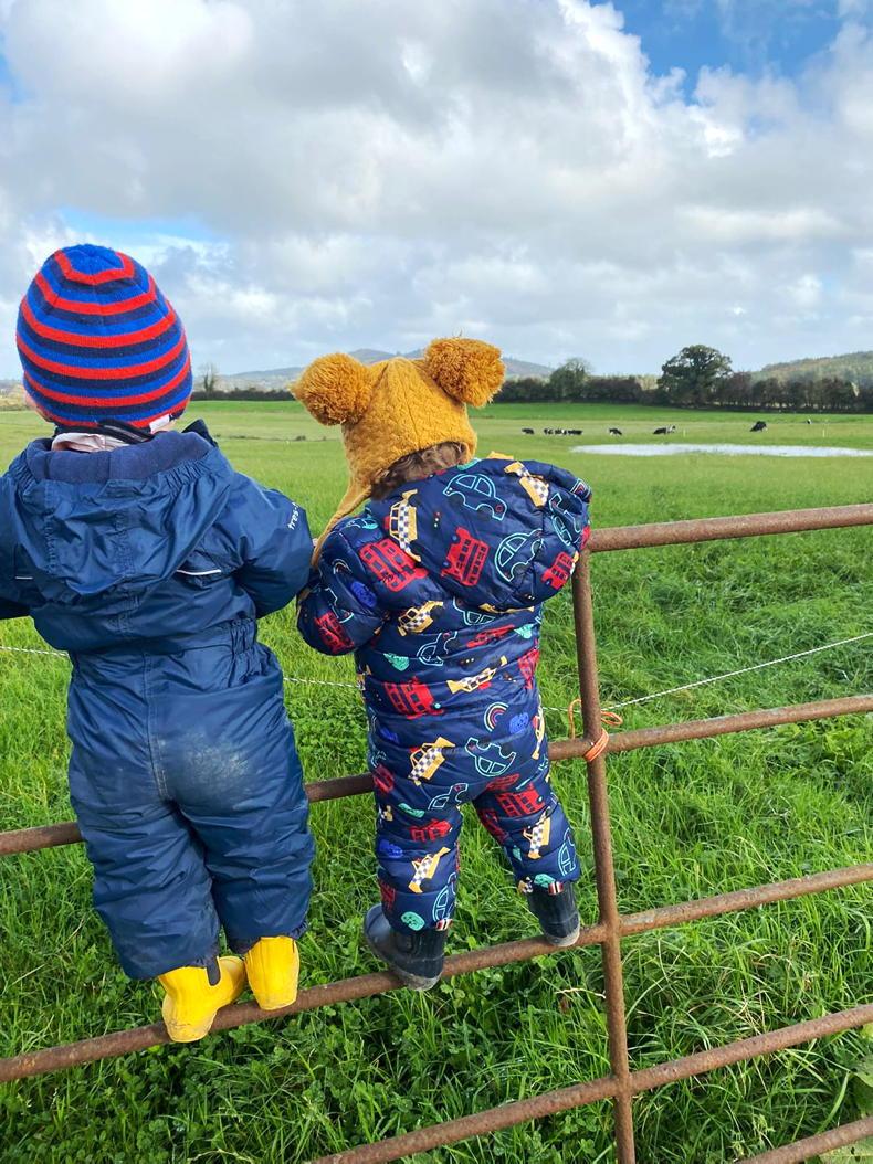 In pictures: our favourite reader photos this autumn - Free